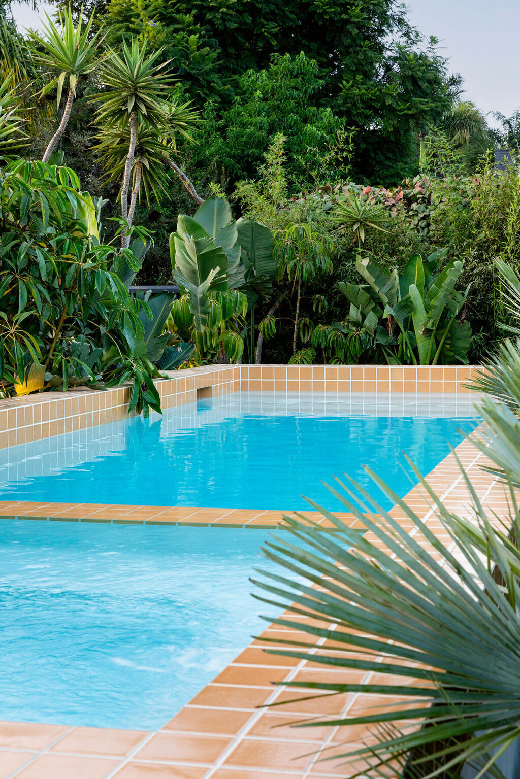 Color Spotlight: Add Zest to Your Space With Orange… | Fireclay Tile