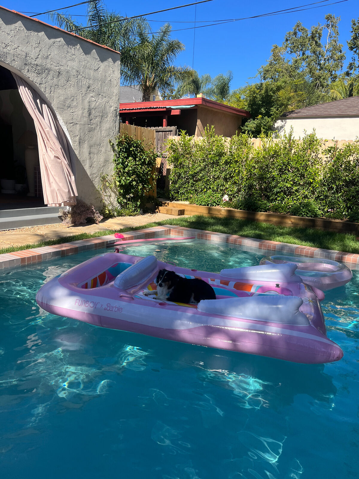 Samantha Klein: Checkered Pink Pool Tile | Fireclay Tile