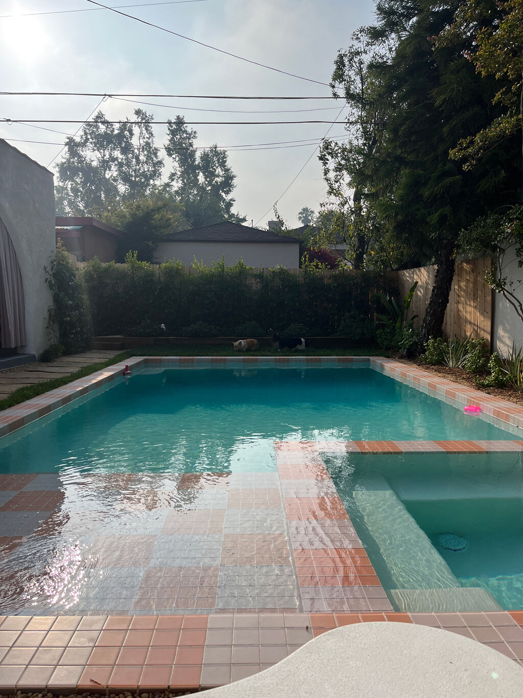 Samantha Klein: Checkered Pink Pool Tile | Fireclay Tile