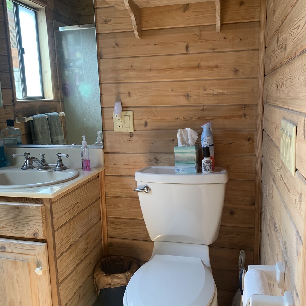 Rae Rockwell: Cantara Mojave Brick Primary Bathroom | Fireclay Tile