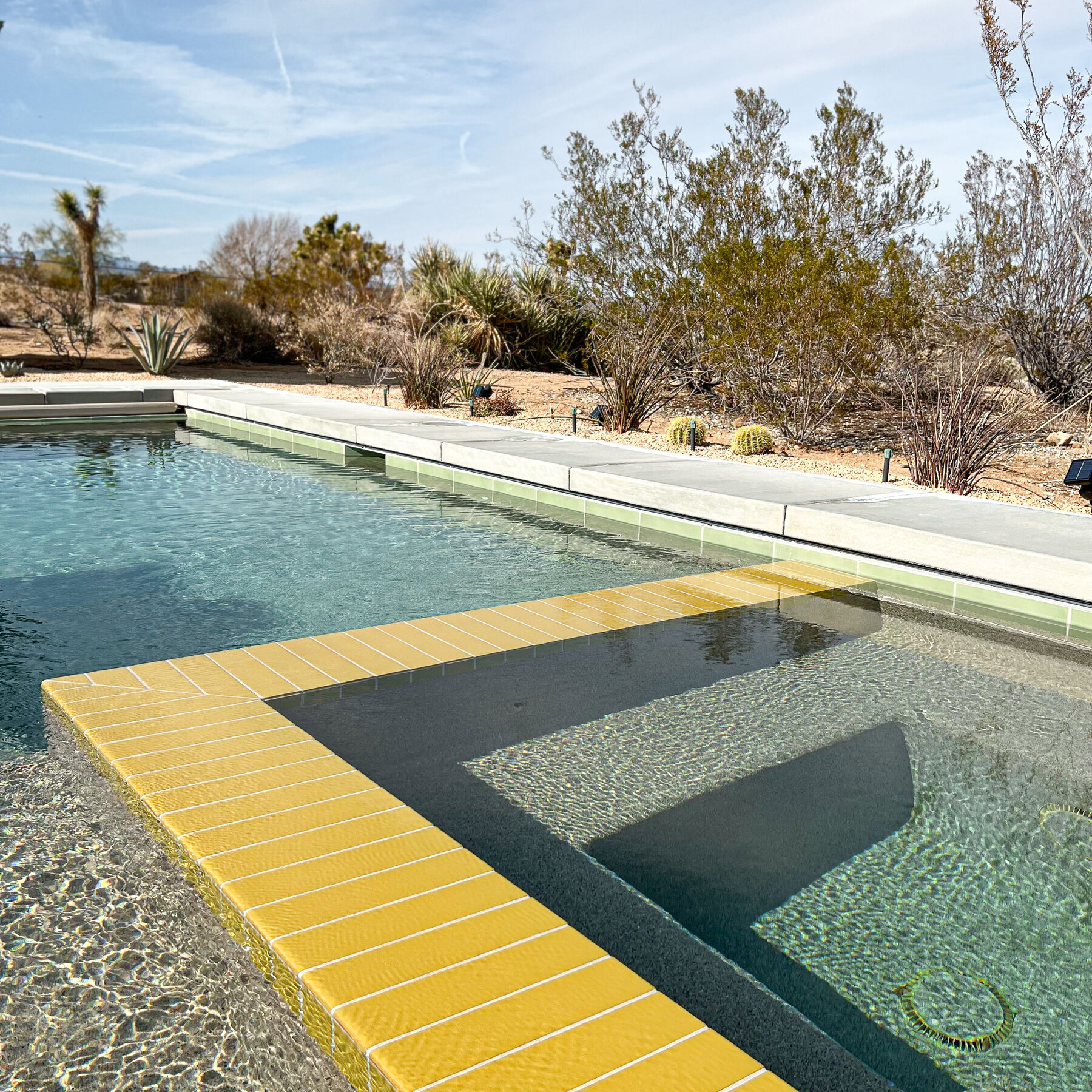 Mustard Seed, Peabody & Rosemary Pool Waterline Tile | Fireclay Tile