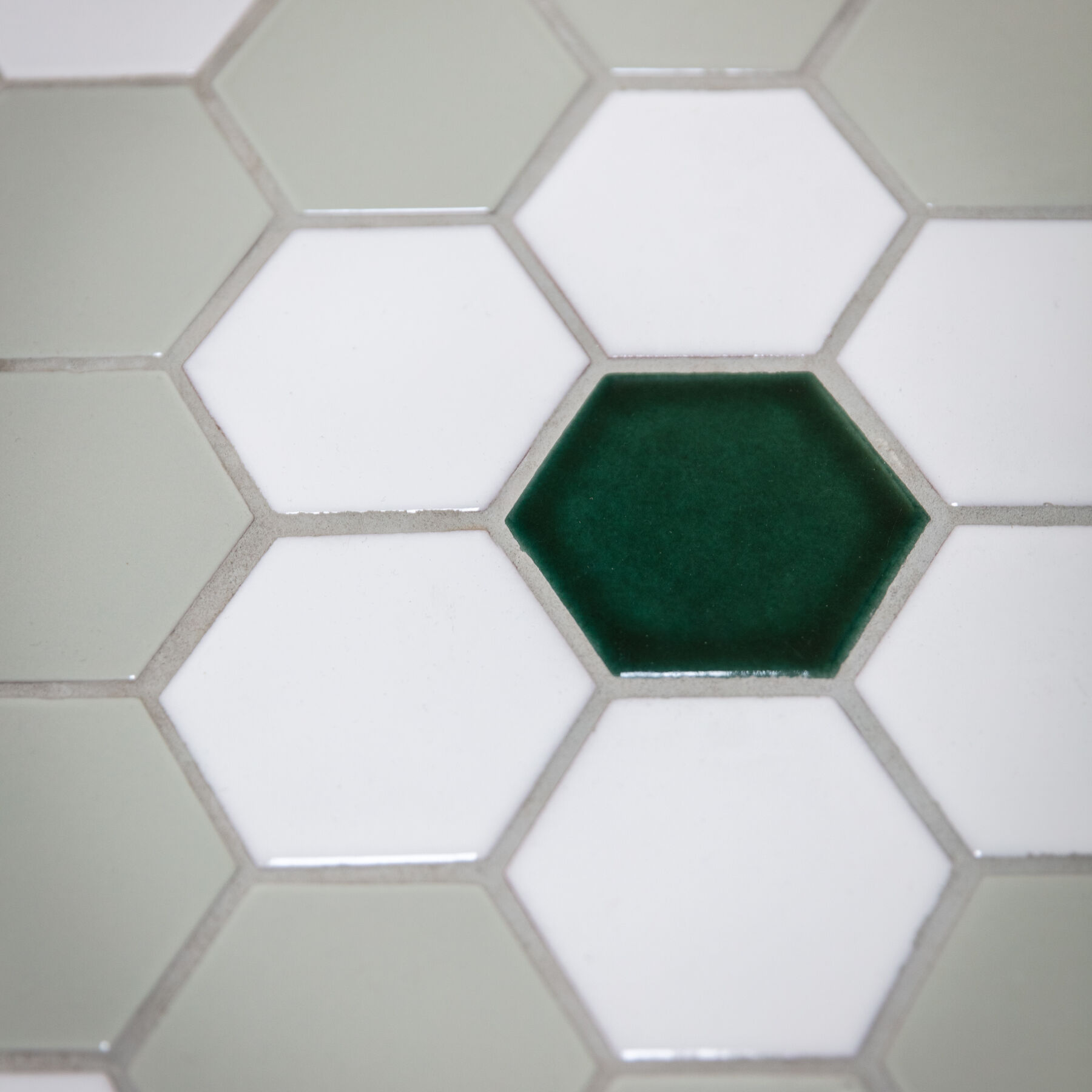 Hexagon Tile Floor | Flower Tile Power from Fireclay | Fireclay Tile
