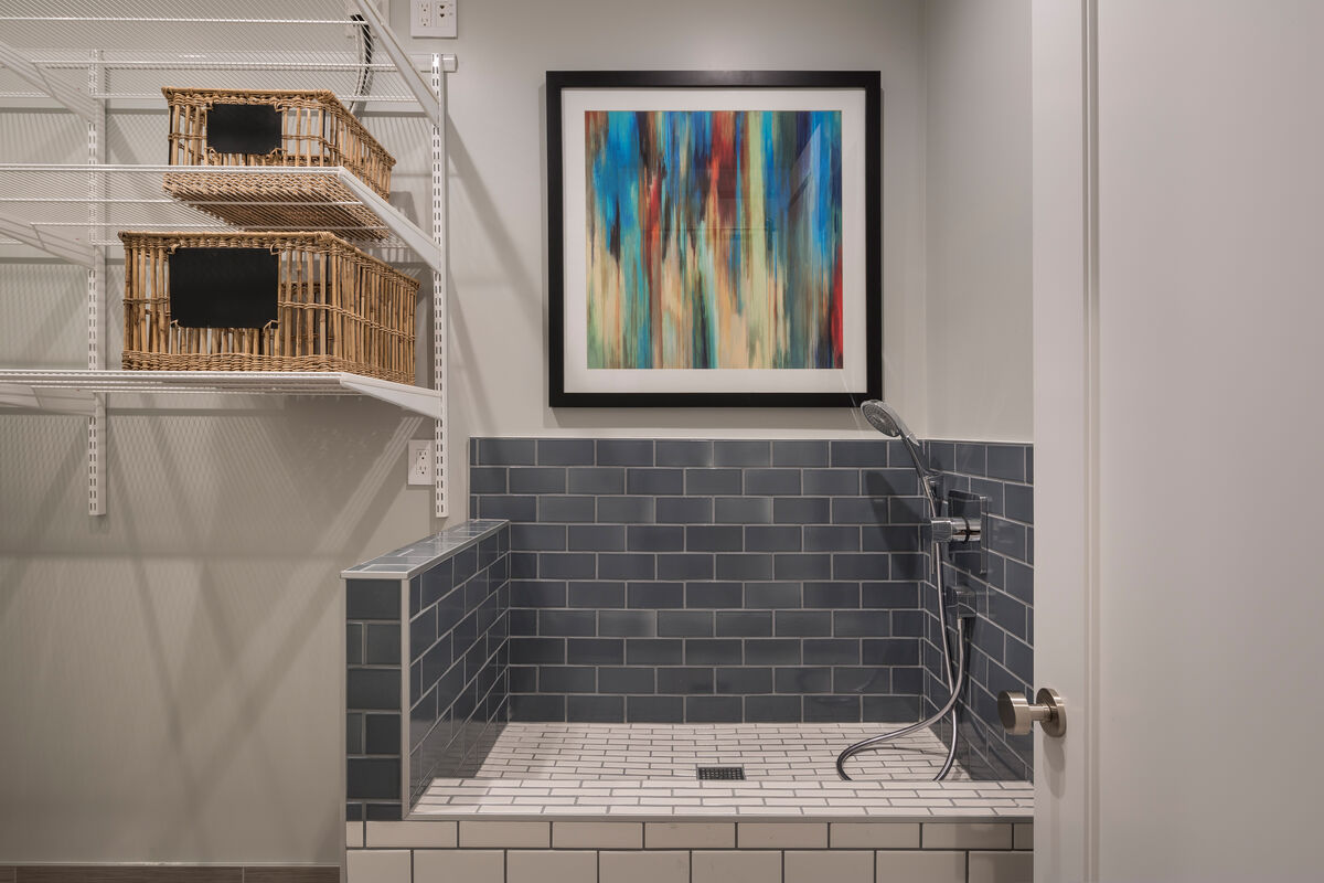Noz Design: Dog Shower Tile | Fireclay Tile