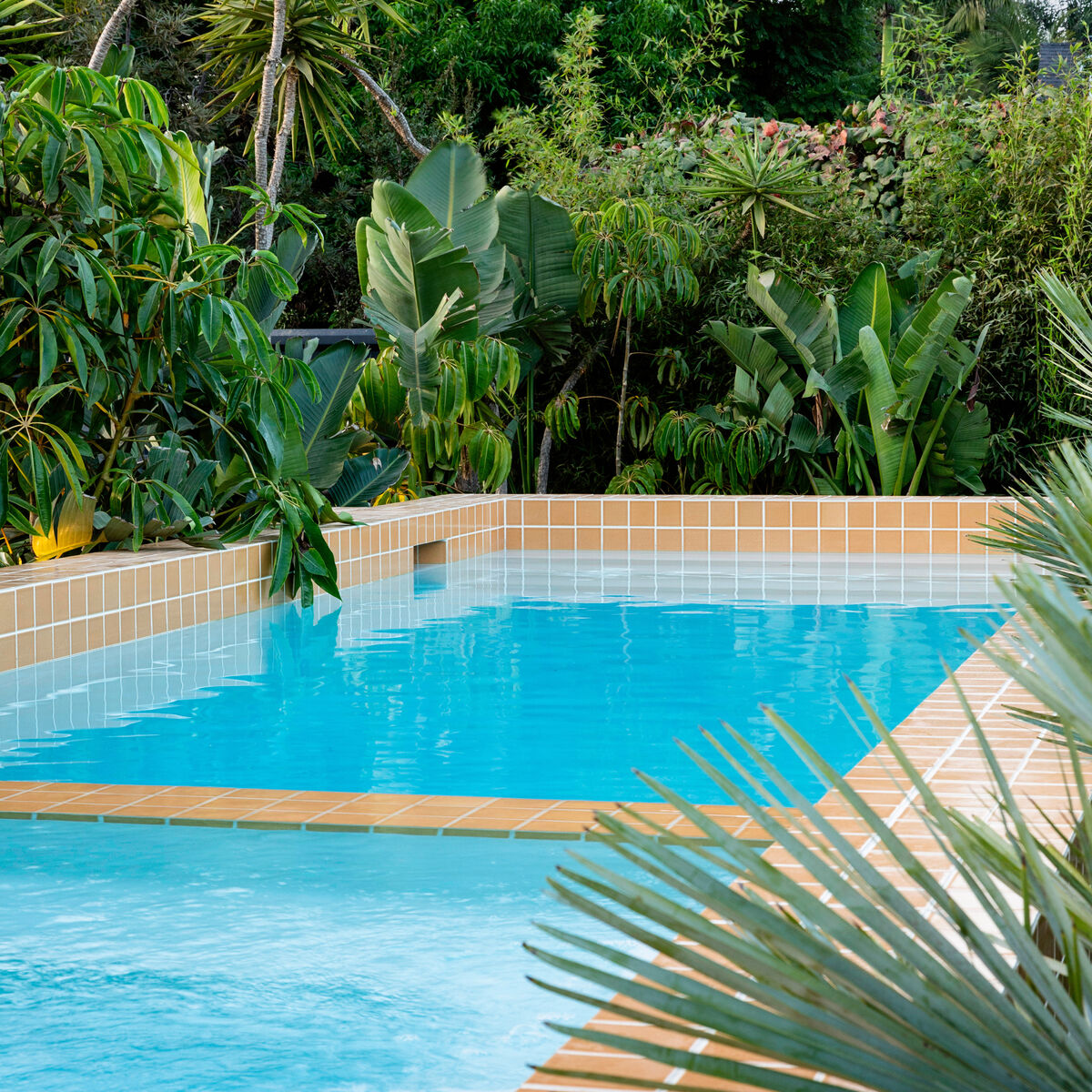 Handsome Salt: 4x4 Koi Backyard Pool | Fireclay Tile
