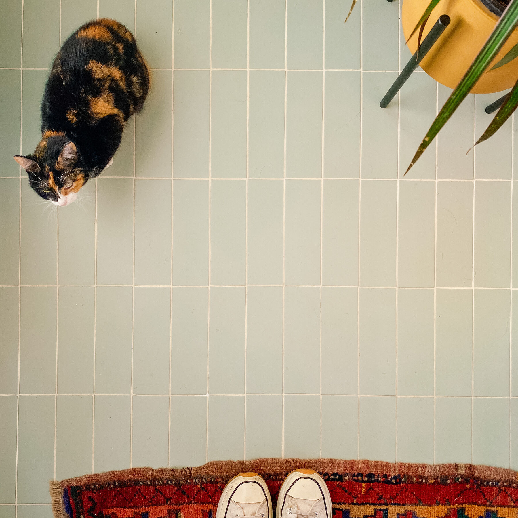 Project Spotlight: Dabito Sea Glass Bathroom | Fireclay Tile