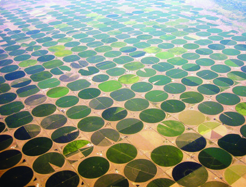 Agrarian Collection | Fireclay Tile